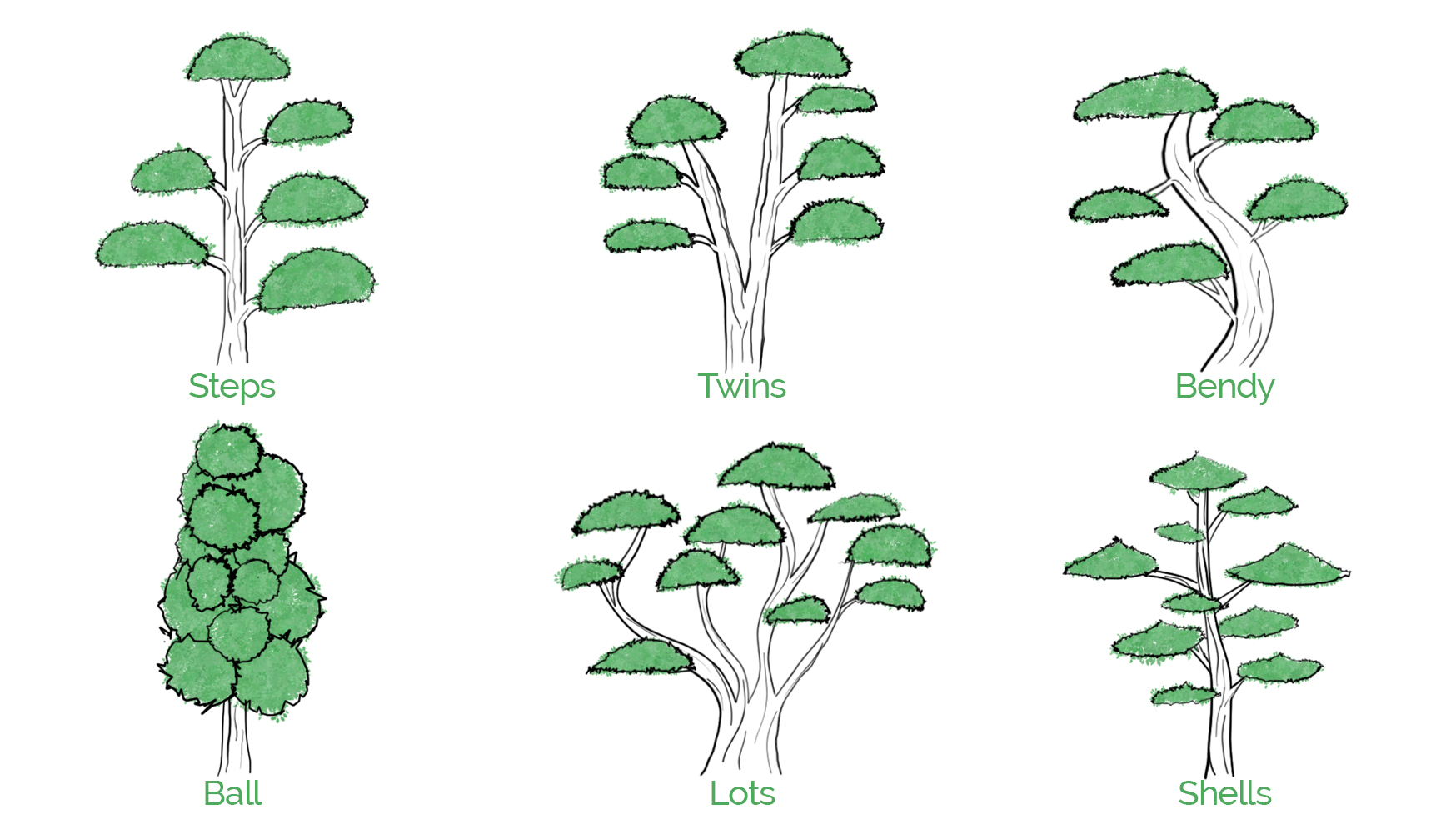 Niwaki - Guide for Beginners | Fantastic Gardeners Melbourne