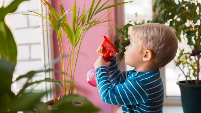 Safe Indoor Plants for Children | PHOTOS | Fantastic Gardeners